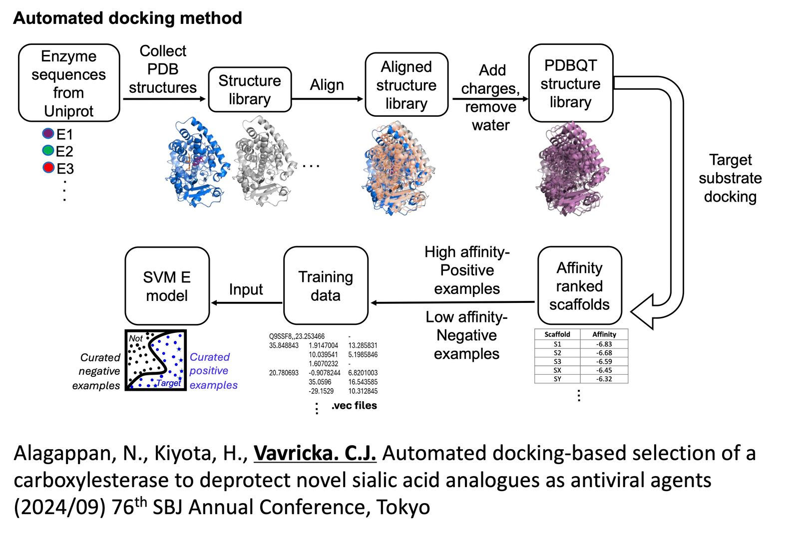 Molecular Docking Drug Discovery