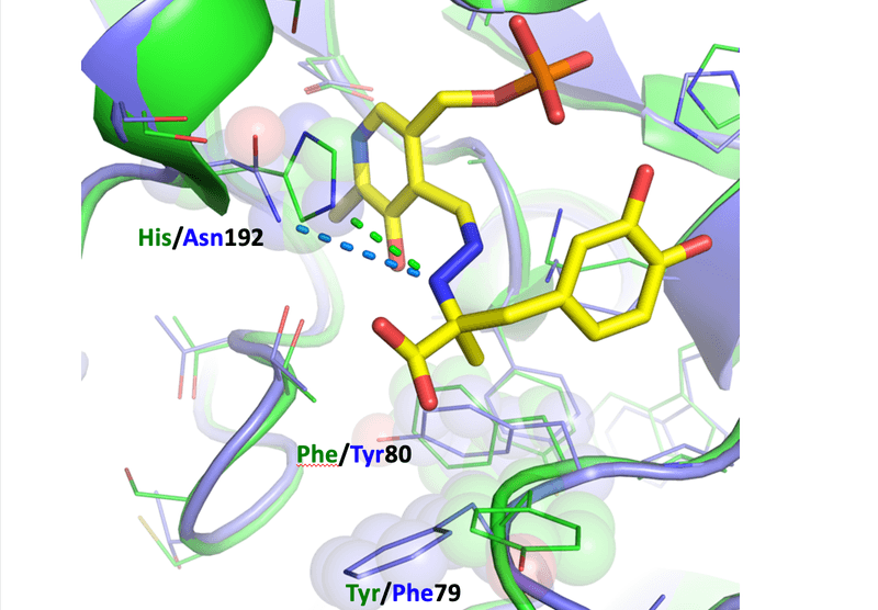 Home [web.tuat.ac.jp]