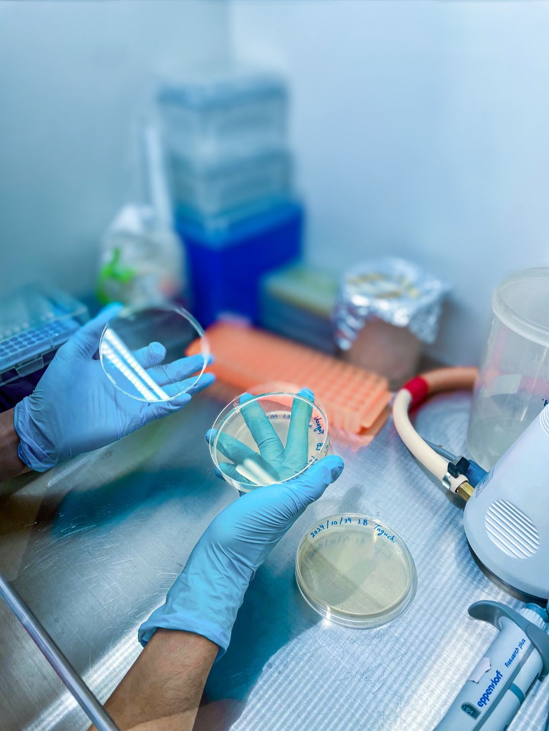 Home [web.tuat.ac.jp]