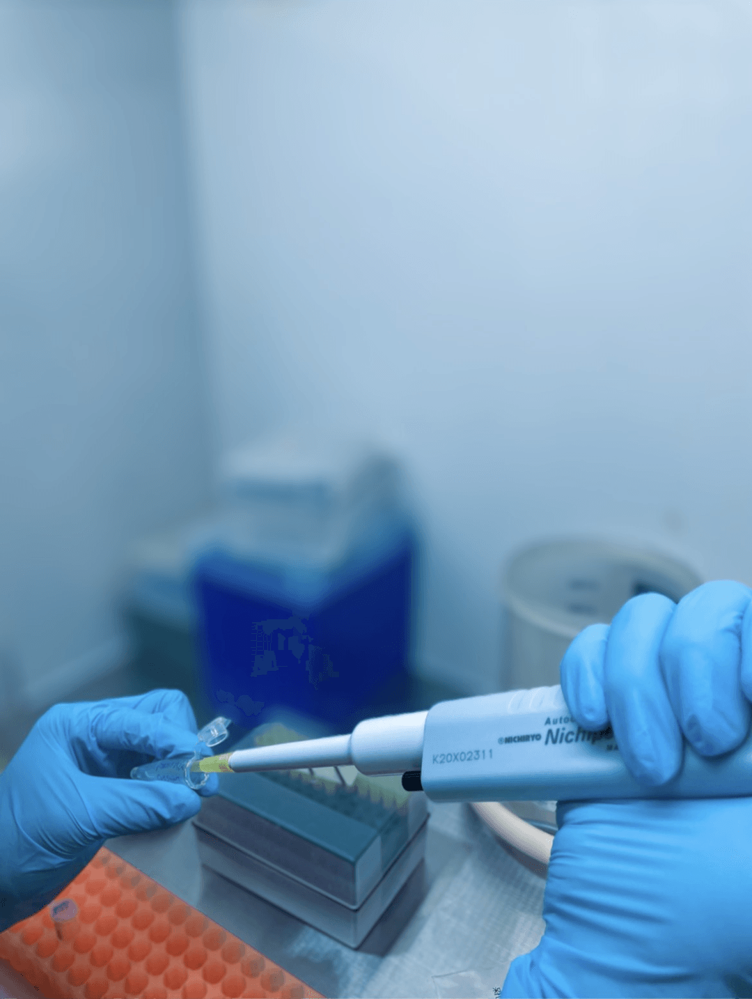 Home [web.tuat.ac.jp]