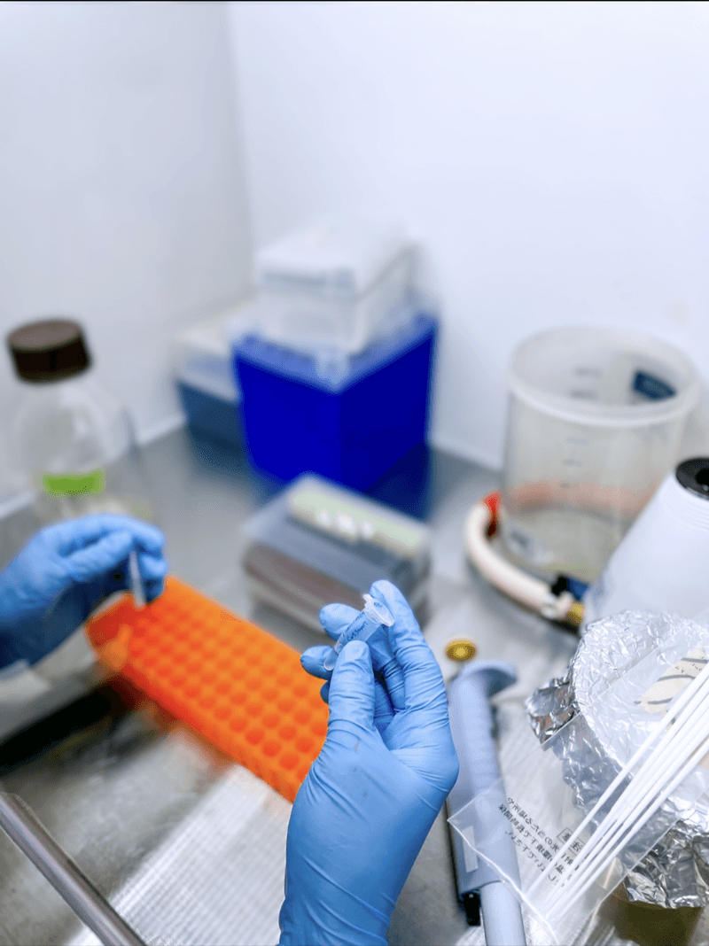 Home [web.tuat.ac.jp]