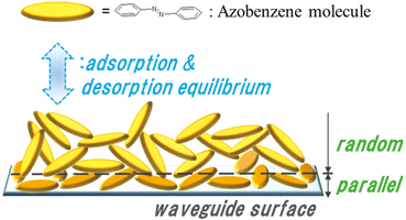 Ohno & Nakamura Laboratory