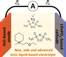 Ohno & Nakamura Laboratory
