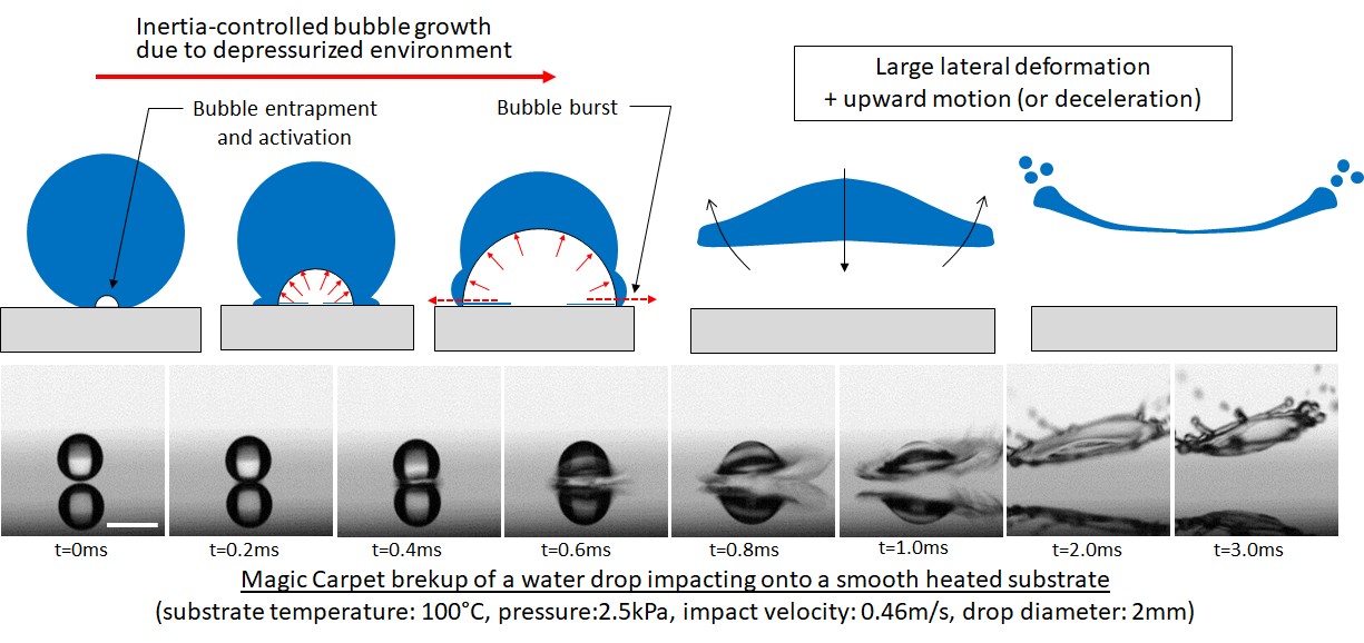 PAPERS of Tagawa Lab